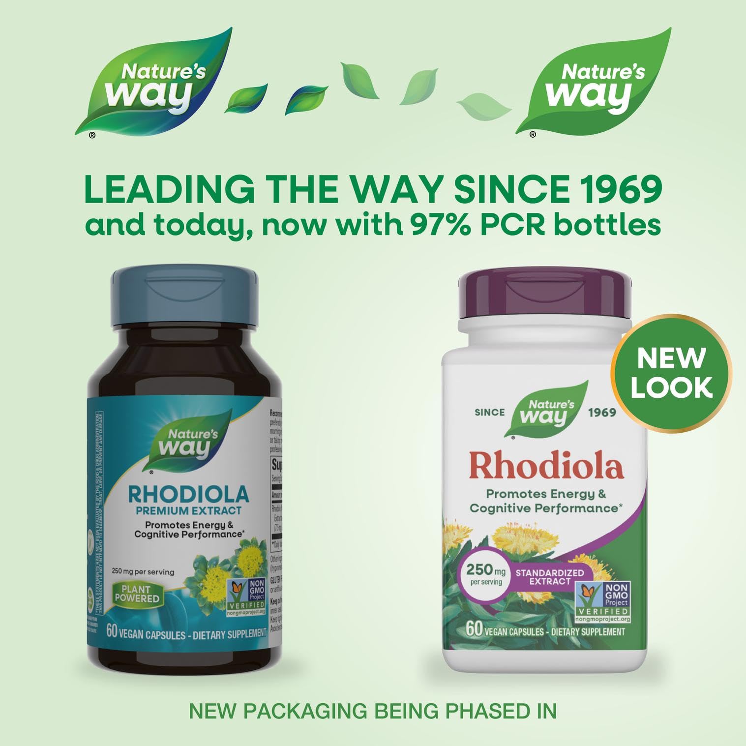 Nature's Way rhodiola for energy boost