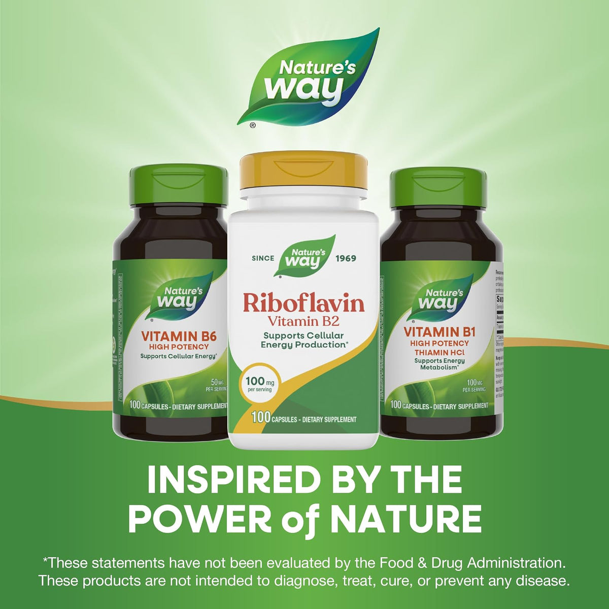 Nature's Way riboflavin immune system support