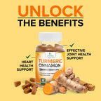 Nature's Way turmeric curcumin for joint health