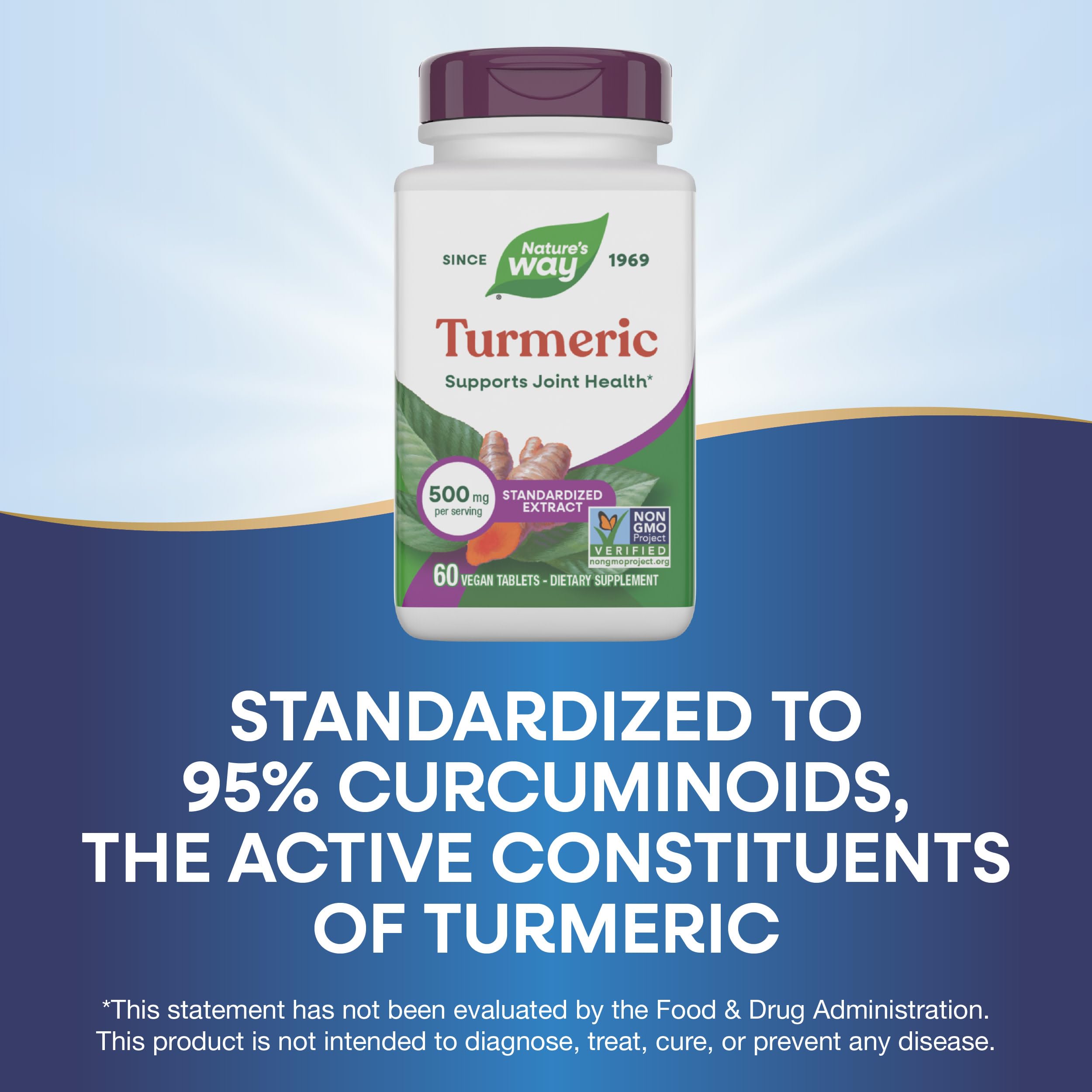 Nature's Way turmeric for mobility