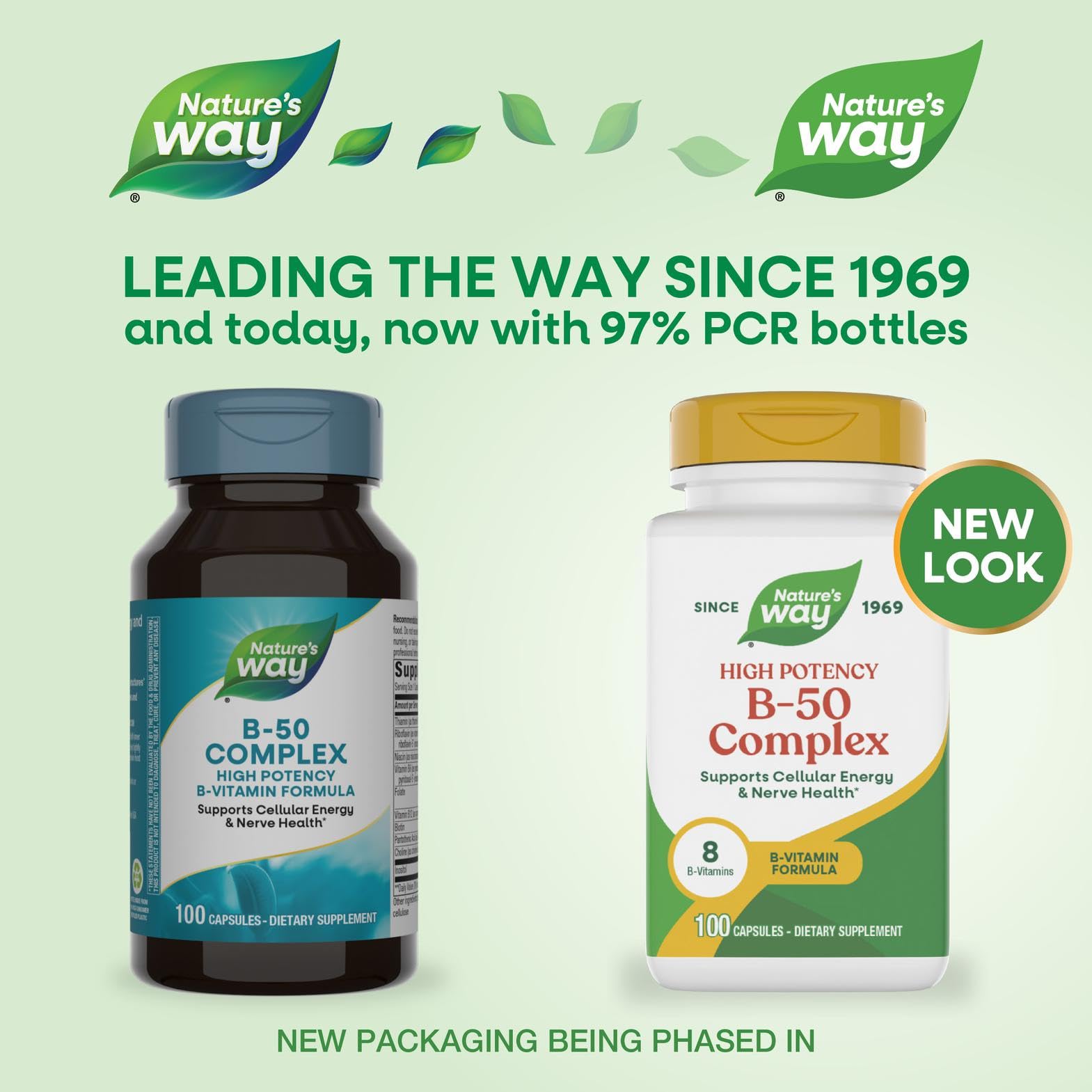 Nature's Way vitamin b complex benefits
