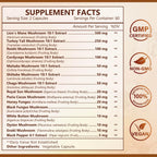 NATURE TARGET 14-in-1 mushroom complex benefits