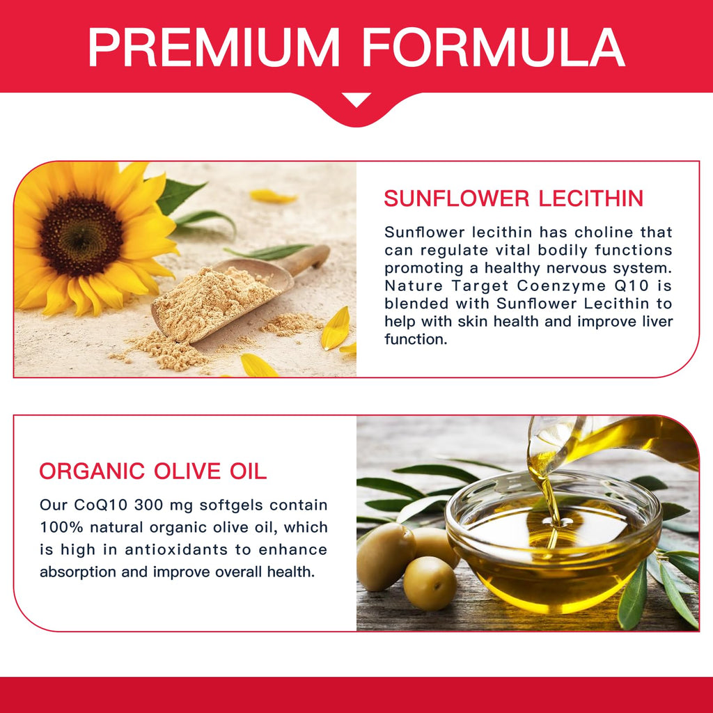 nature target coq10 antioxidant properties