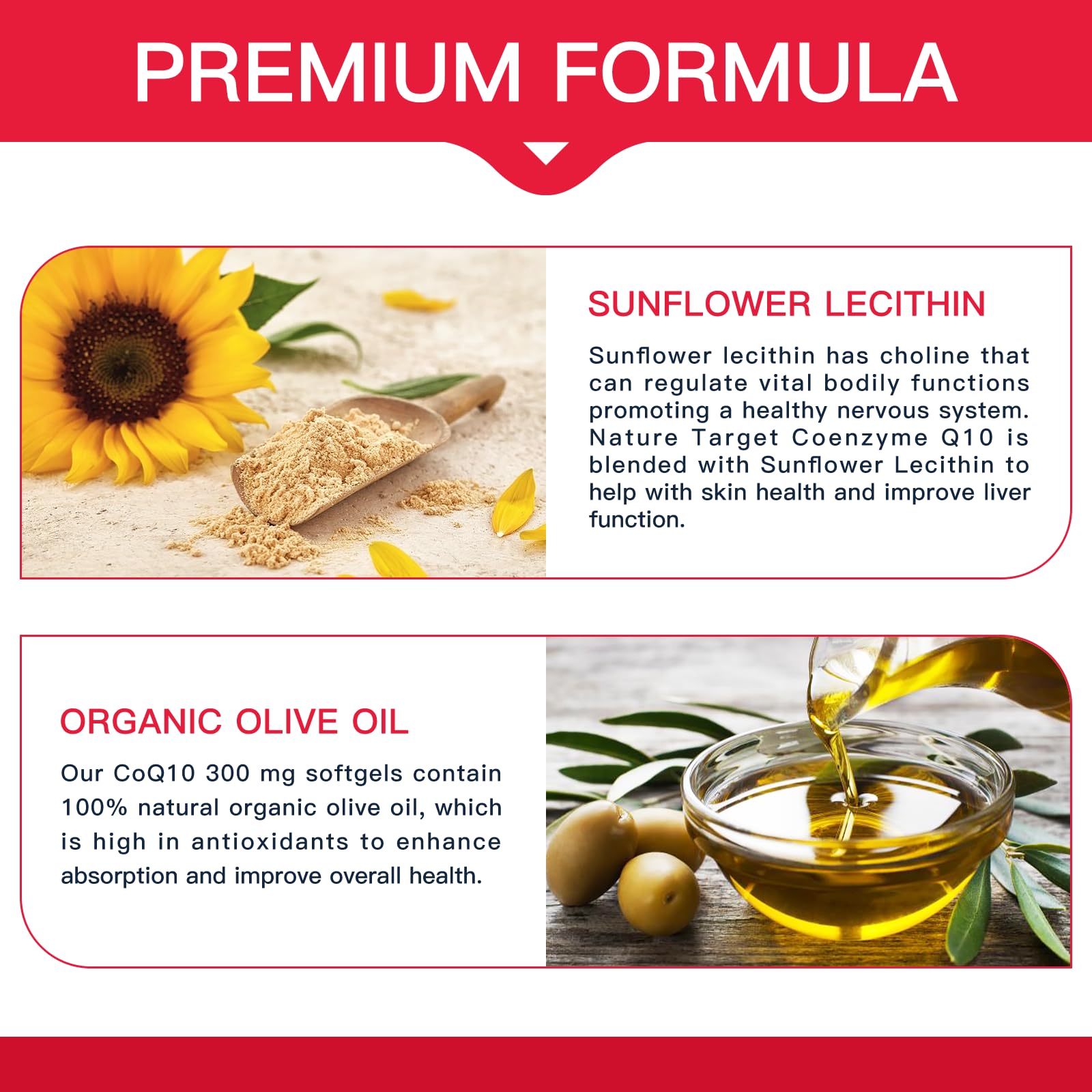 nature target coq10 antioxidant properties