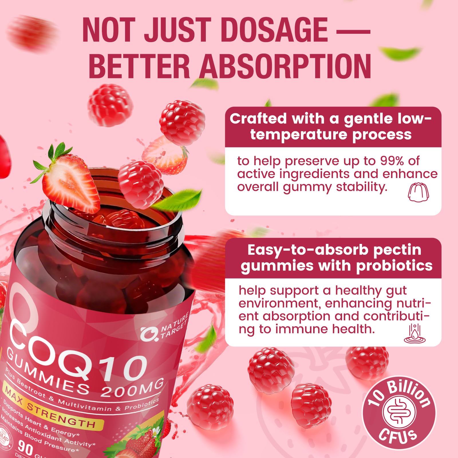 NATURE TARGET coq10 antioxidant support