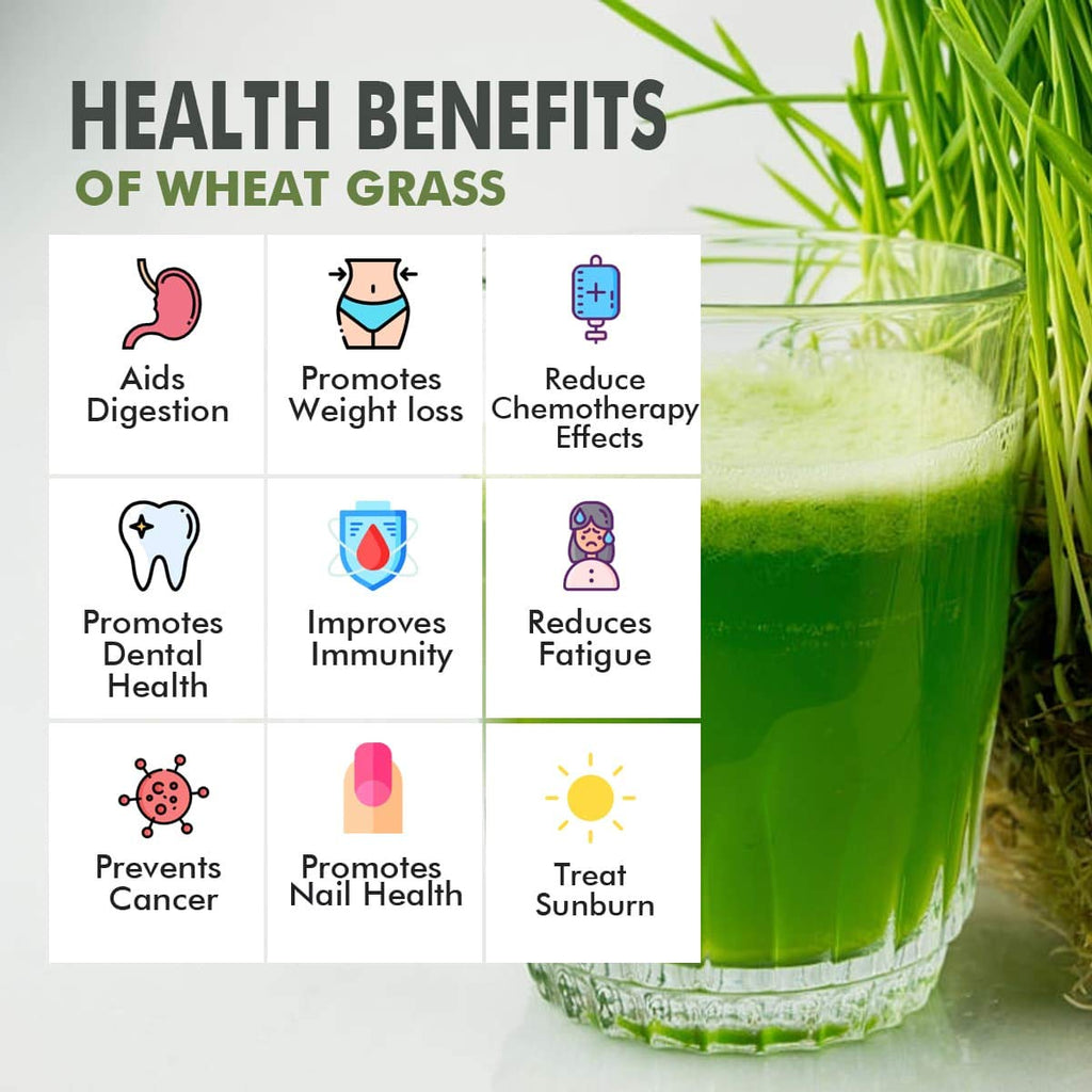 Nature Vit vegan health supplement