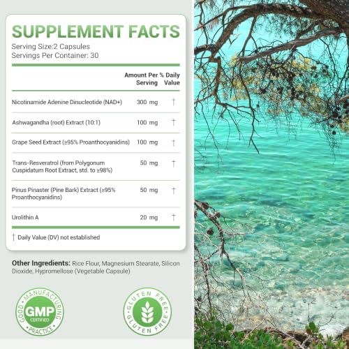 Nature Whisper resveratrol capsules