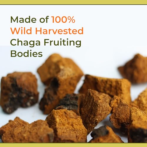 Naturealm Chaga mushroom 2 month supply