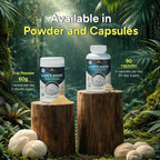 Naturealm lion's mane for overall health