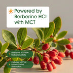 NatureBell berberine for digestive wellness
