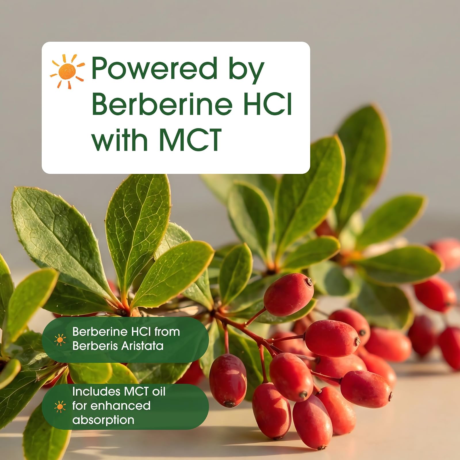 NatureBell berberine for digestive wellness