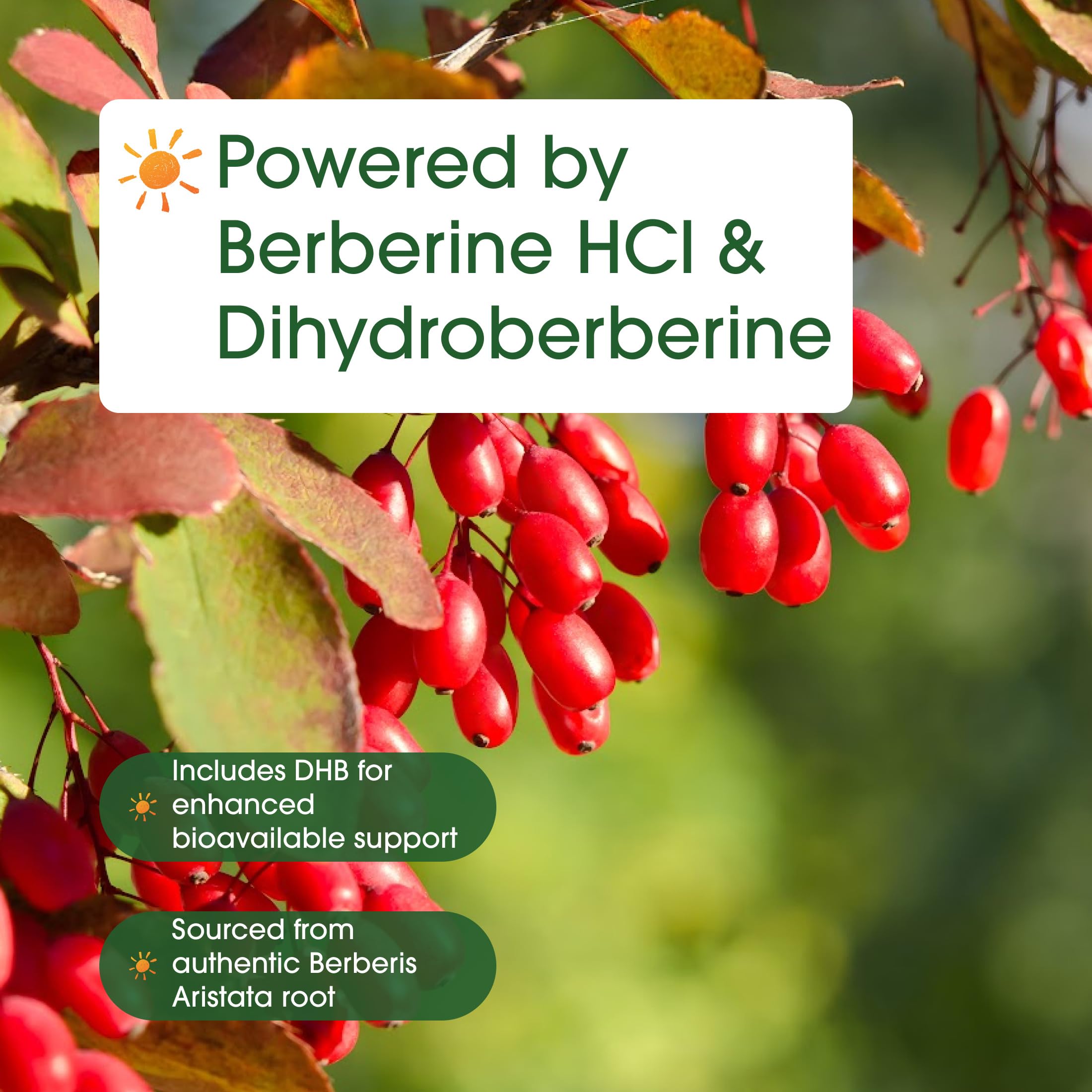 NatureBell herbal supplements for vitality