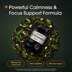 NatureBell l-theanine 400 mg benefits