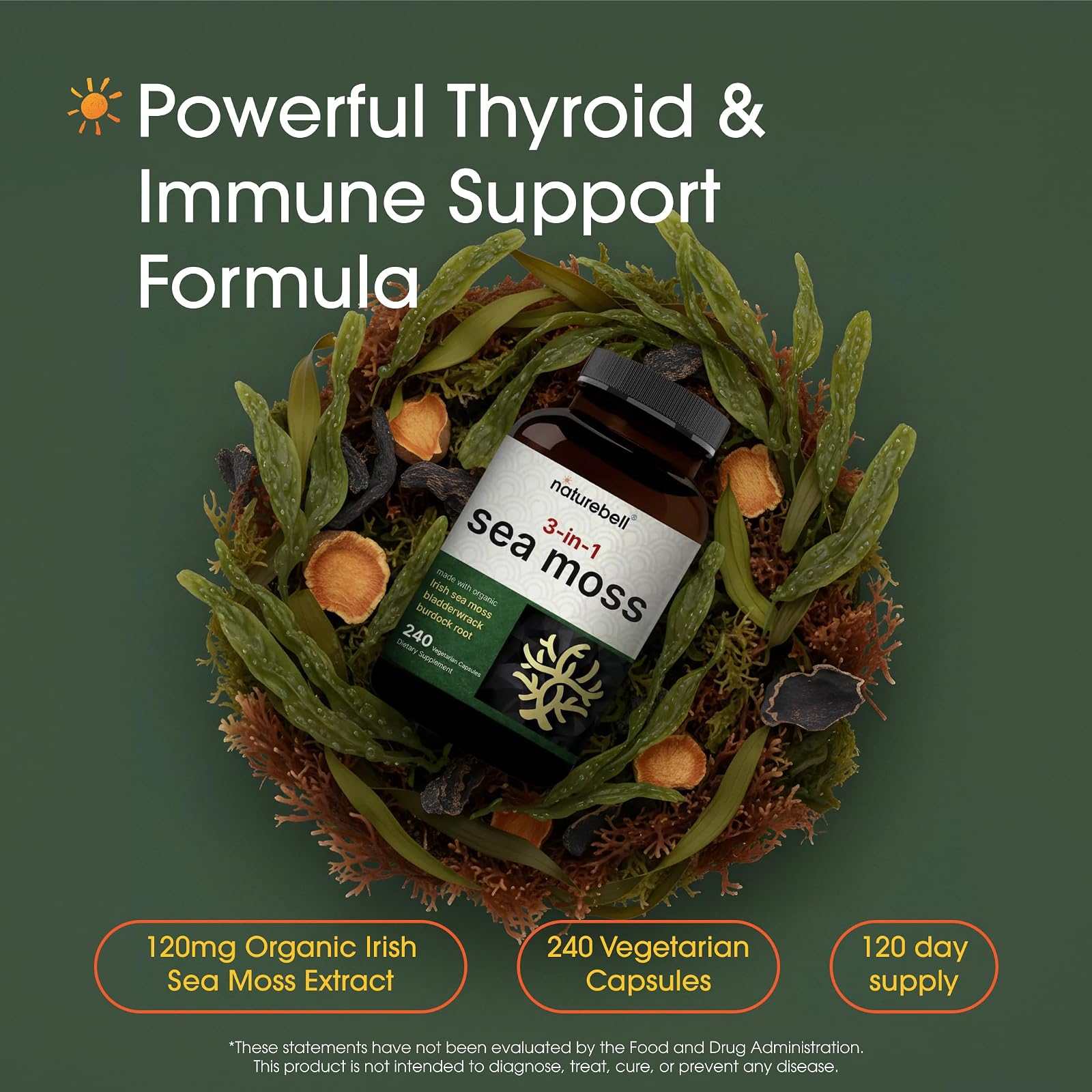 NatureBell Sea Moss gummy multivitamin option