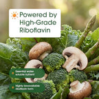 NatureBell Vitamin B2 for overall vitality