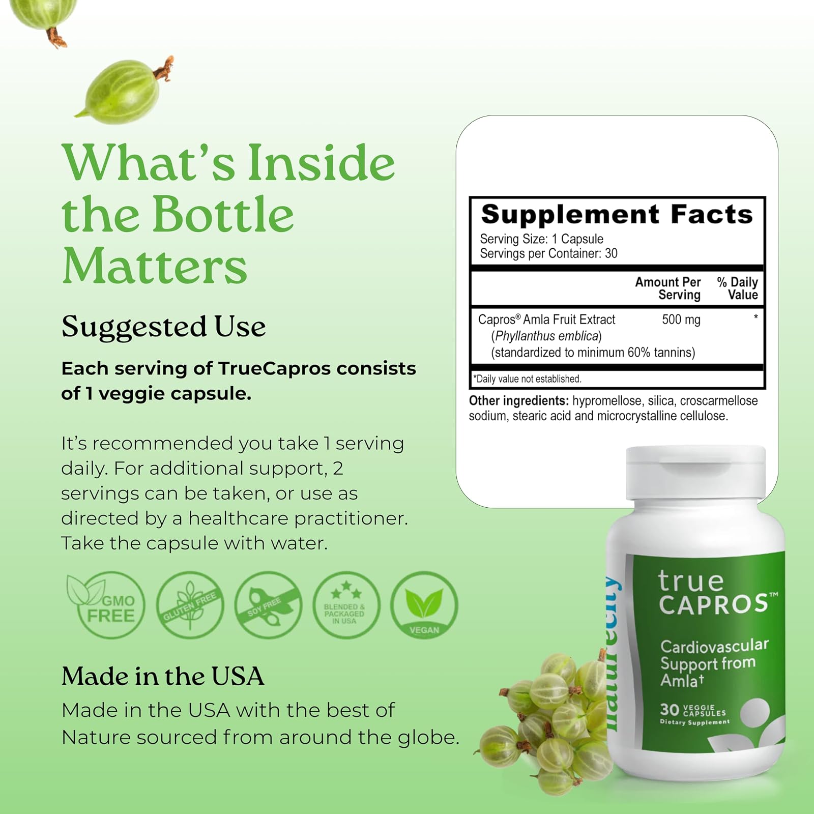 NatureCity Amla for enhanced absorption
