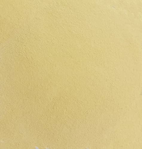 Naturejam 100% mango juice powder benefits