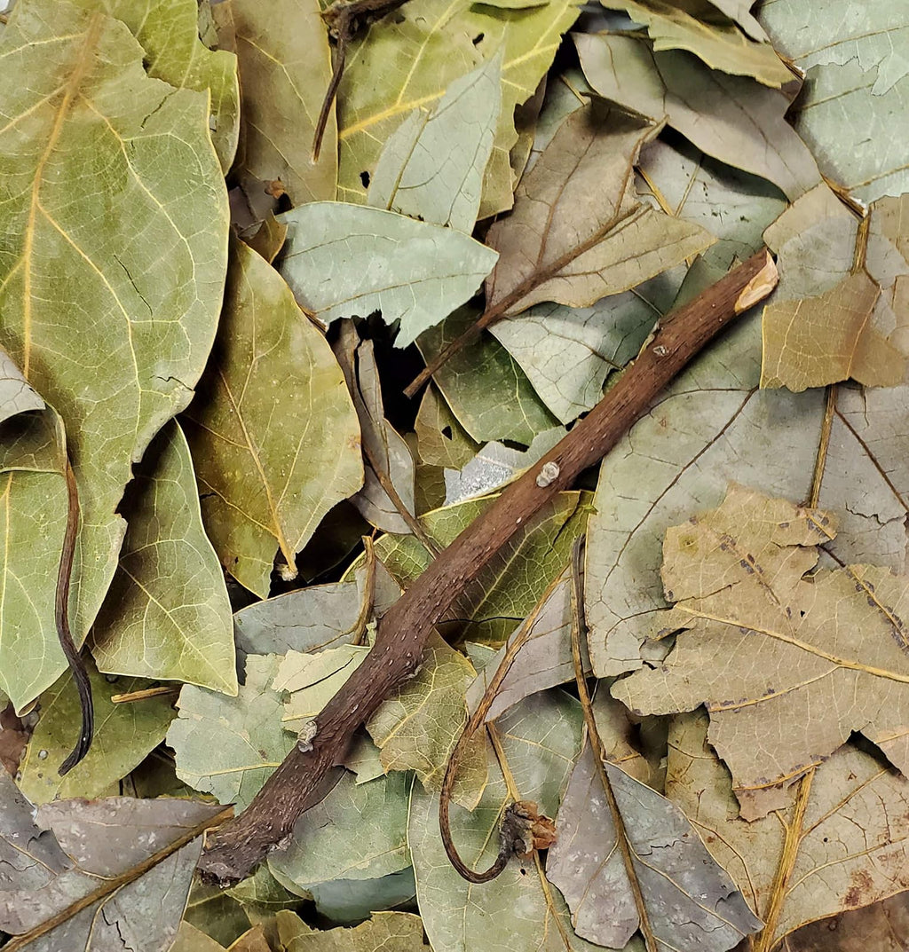Naturejam avocado leaves tea benefits