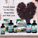 Natures Answer elderberry benefits