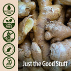 Natures Answer herbal infusion benefits