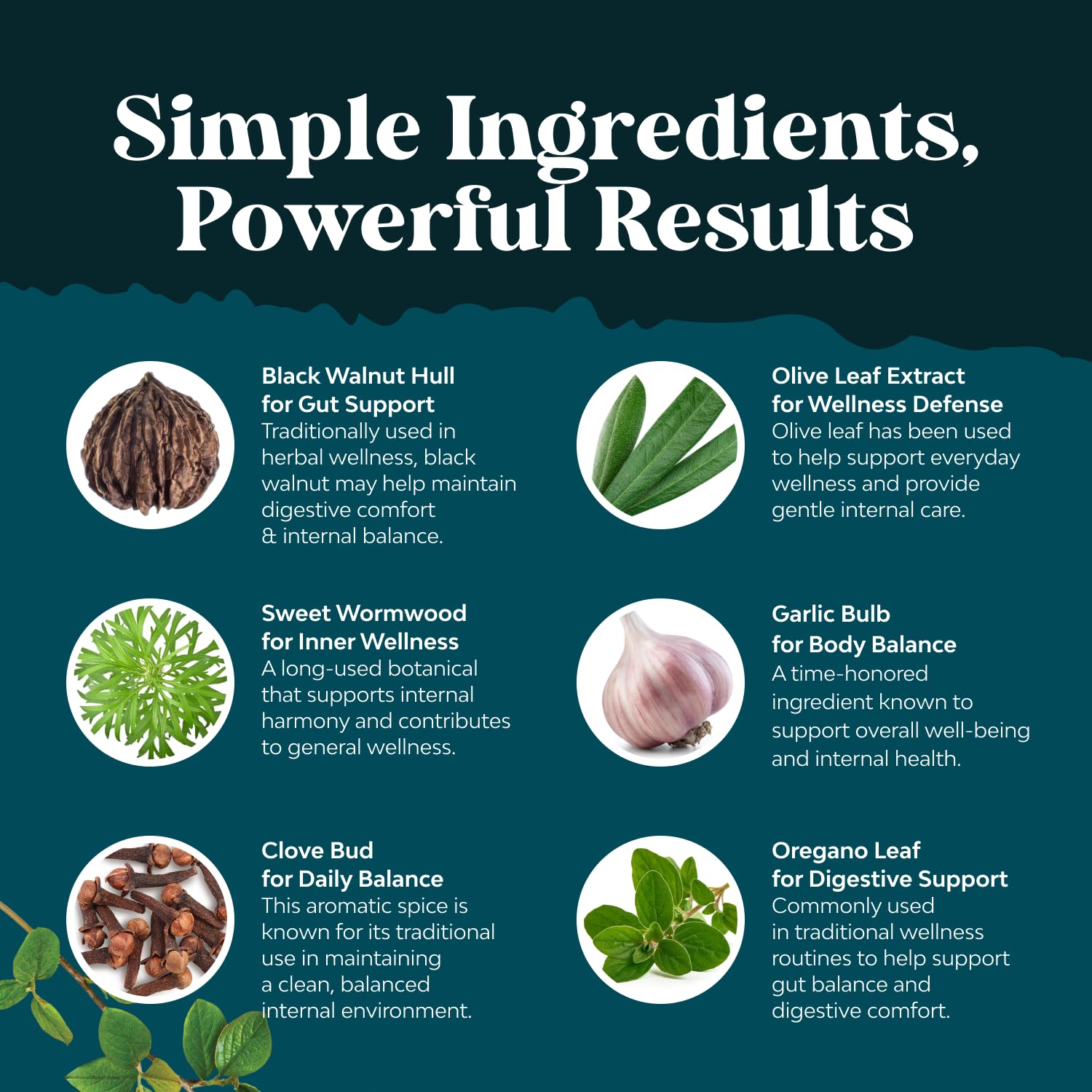 Natures Craft detox for body wellness