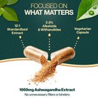Natures Elements herbal ashwagandha capsules