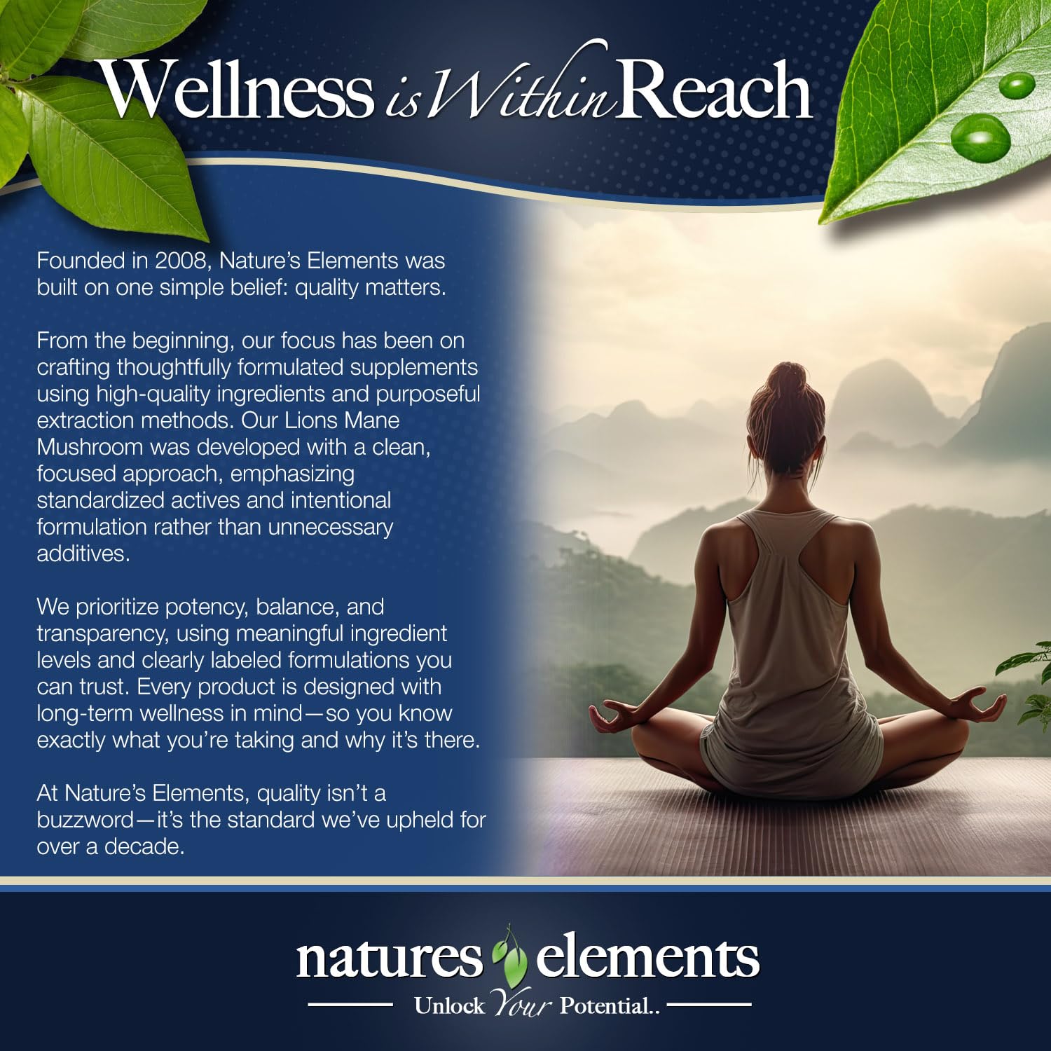Natures Elements mushroom adaptogen