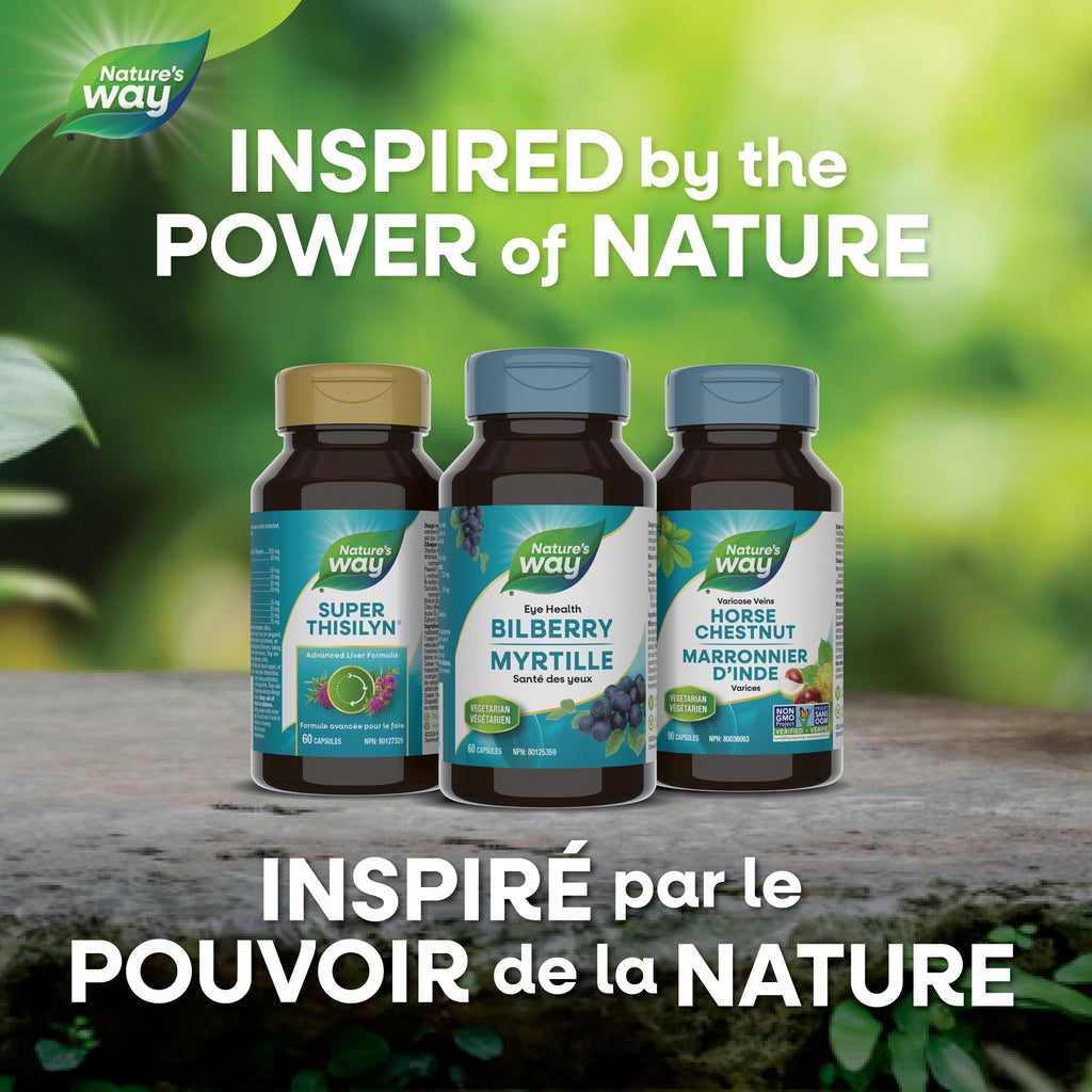 Natures Way bilberry for daily wellness