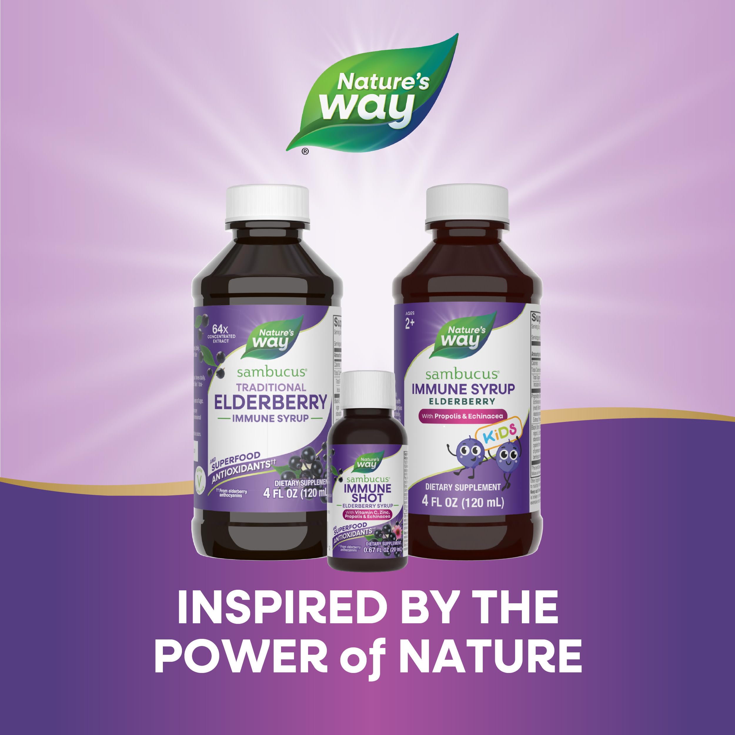 NATURES WAY elderberry daily supplement