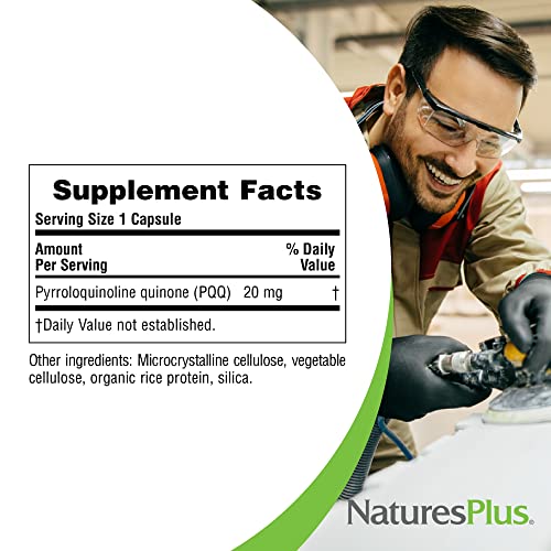 NaturesPlus Brainceutix energy booster