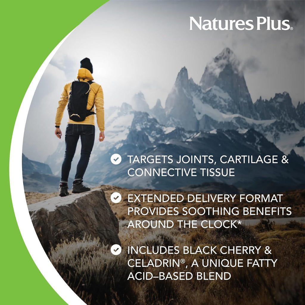 NaturesPlus chondroitin and MSM