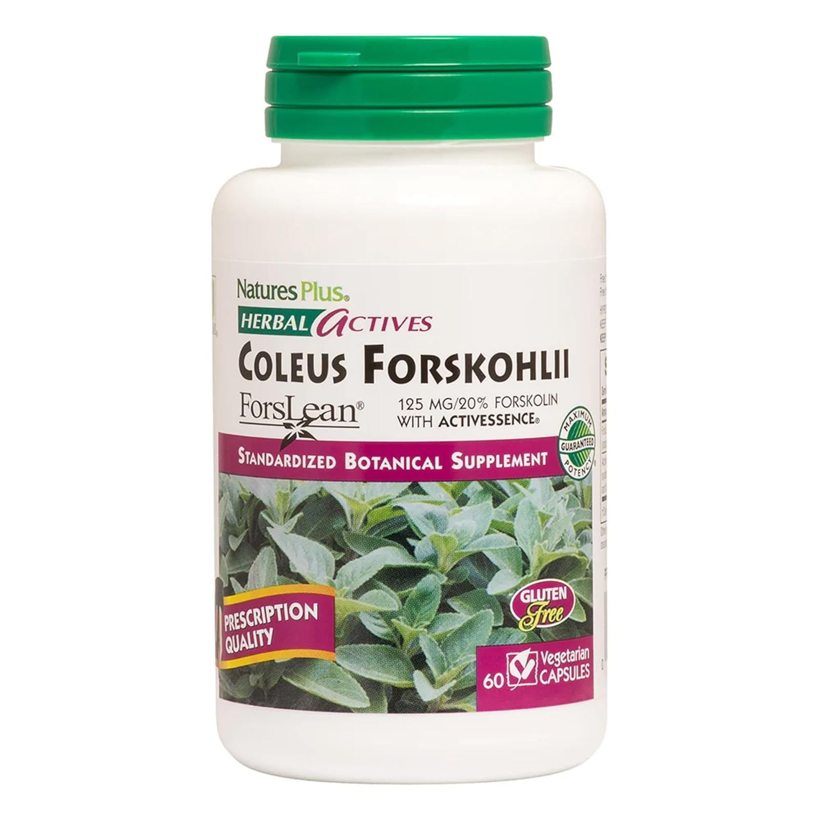 NaturesPlus Coleus Forskohlii vegetarian capsules