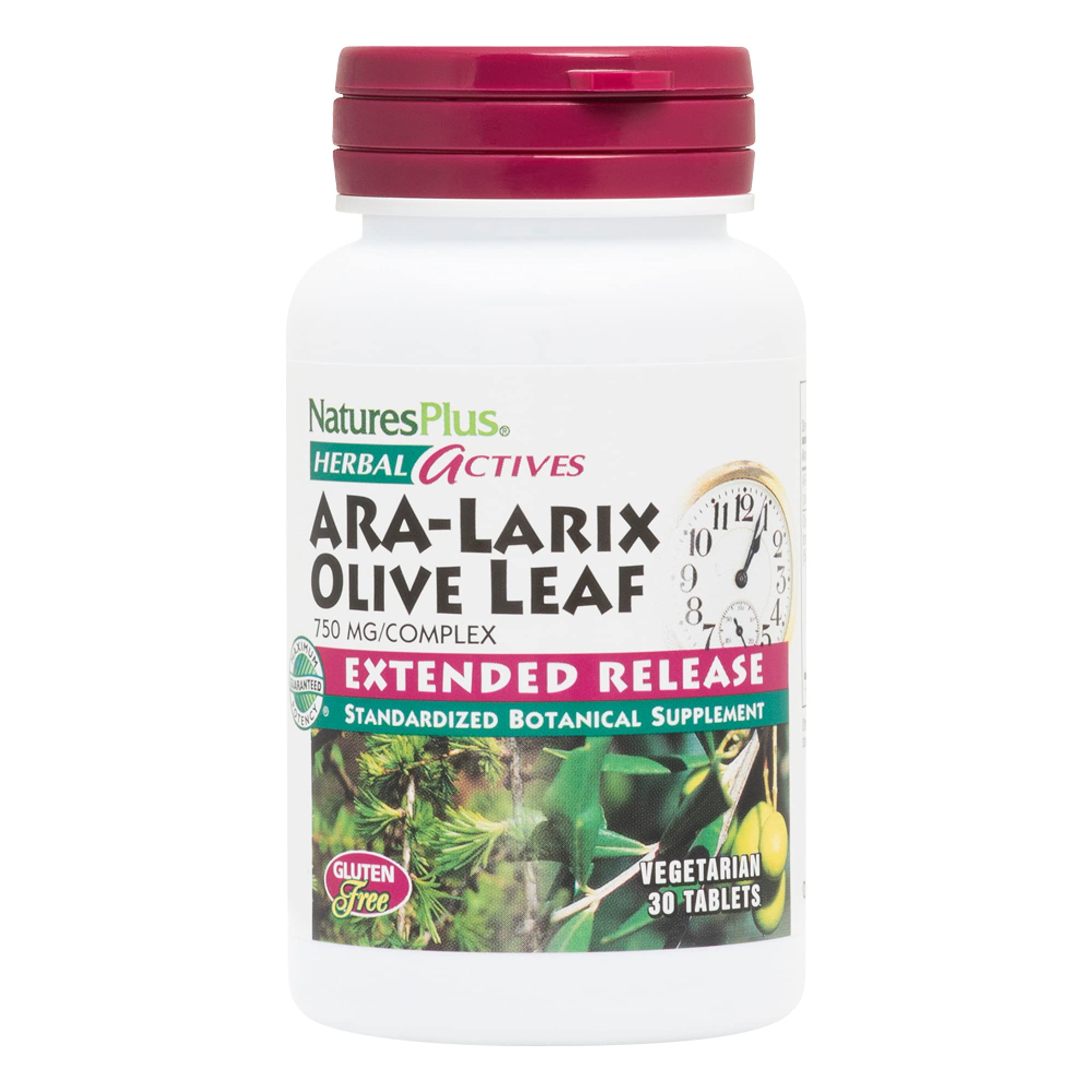 NaturesPlus olive leaf extract benefits