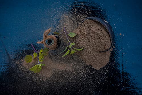 naturevibe bacopa monnieri for enhanced mood