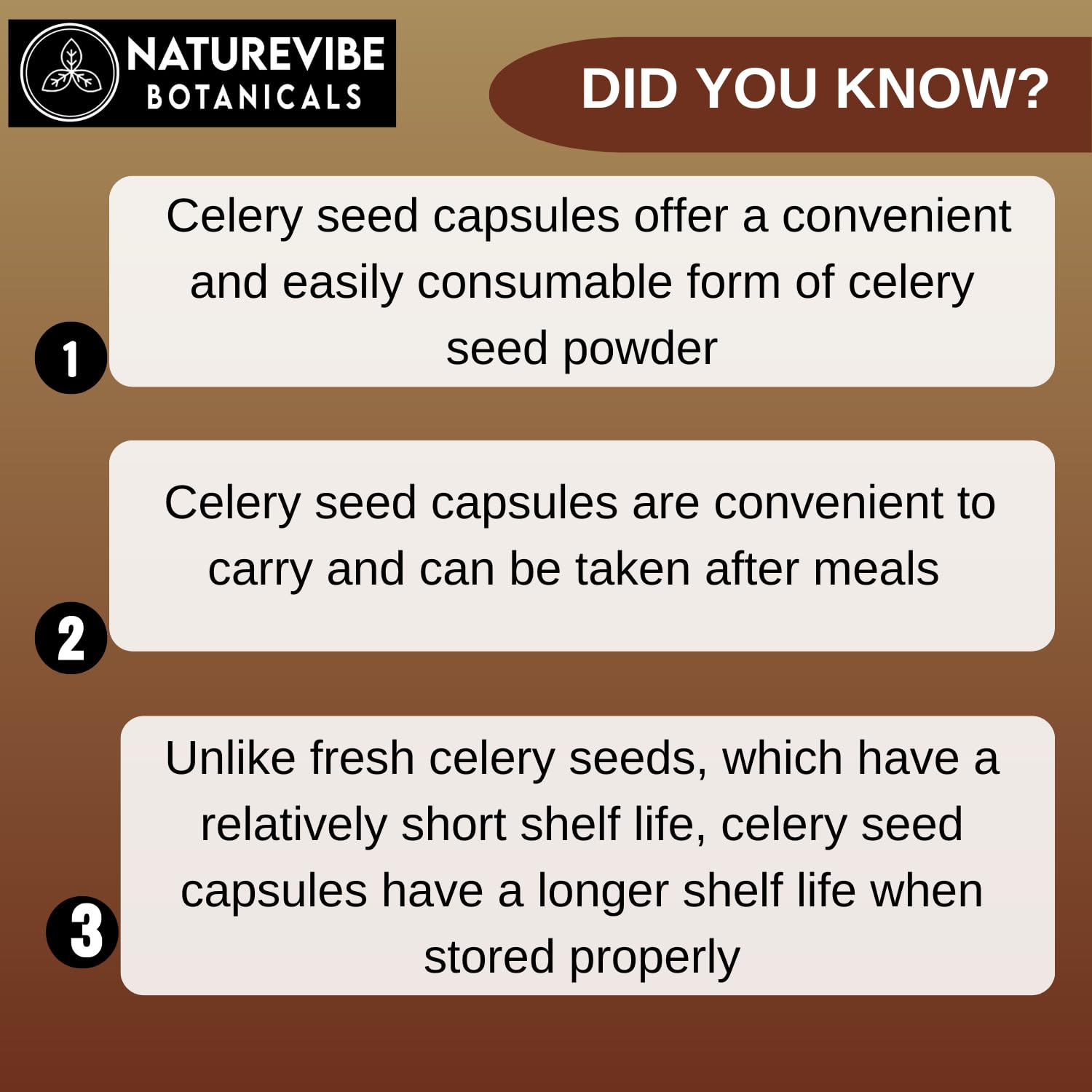 naturevibe blended vitamin supplement