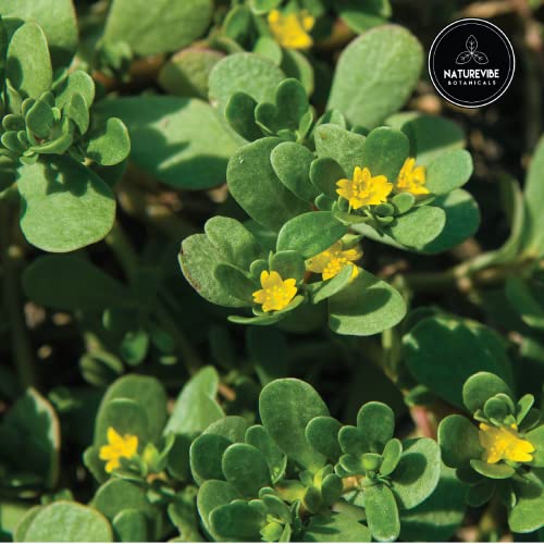 Naturevibe Botanicals for balanced nutrition