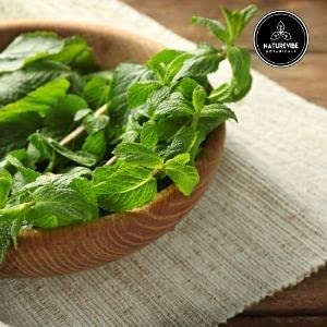 Naturevibe botanicals for holistic health