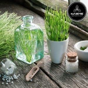 Naturevibe botanicals for natural healing