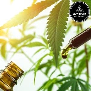 Naturevibe Botanicals ginger for energy
