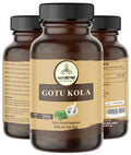 Naturevibe Botanicals Gotu Kola capsules for memory support