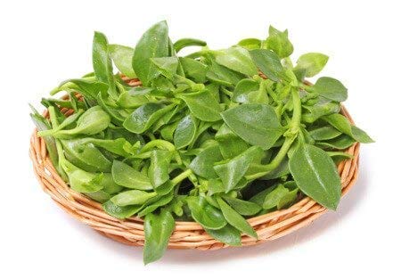 naturevibe botanicals health benefits