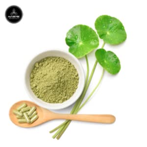 Naturevibe Botanicals supplements for improved focus