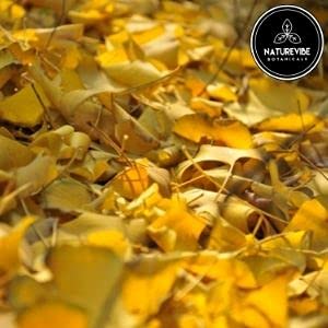Naturevibe Ginkgo for stress relief