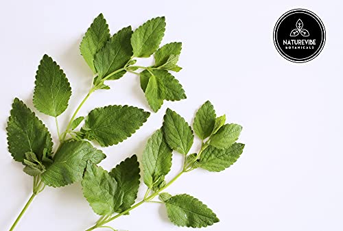 Naturevibe mineral supplements for vitality
