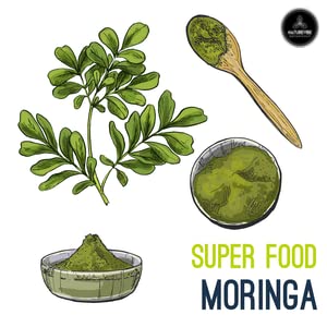 Naturevibe Moringa for wellness support
