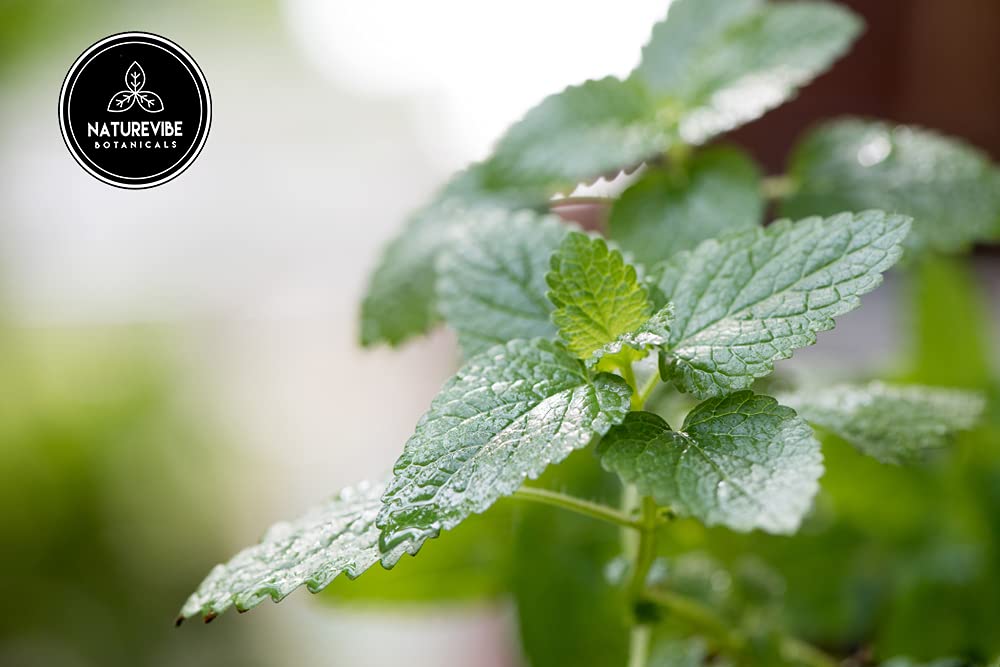 Naturevibe vitamin and mineral blend