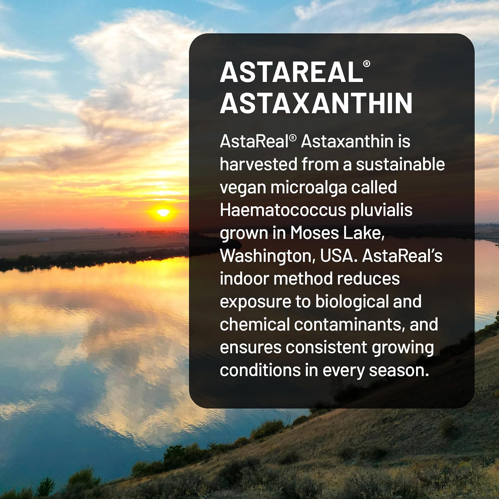 NatureWise Astaxanthin for skin vitality