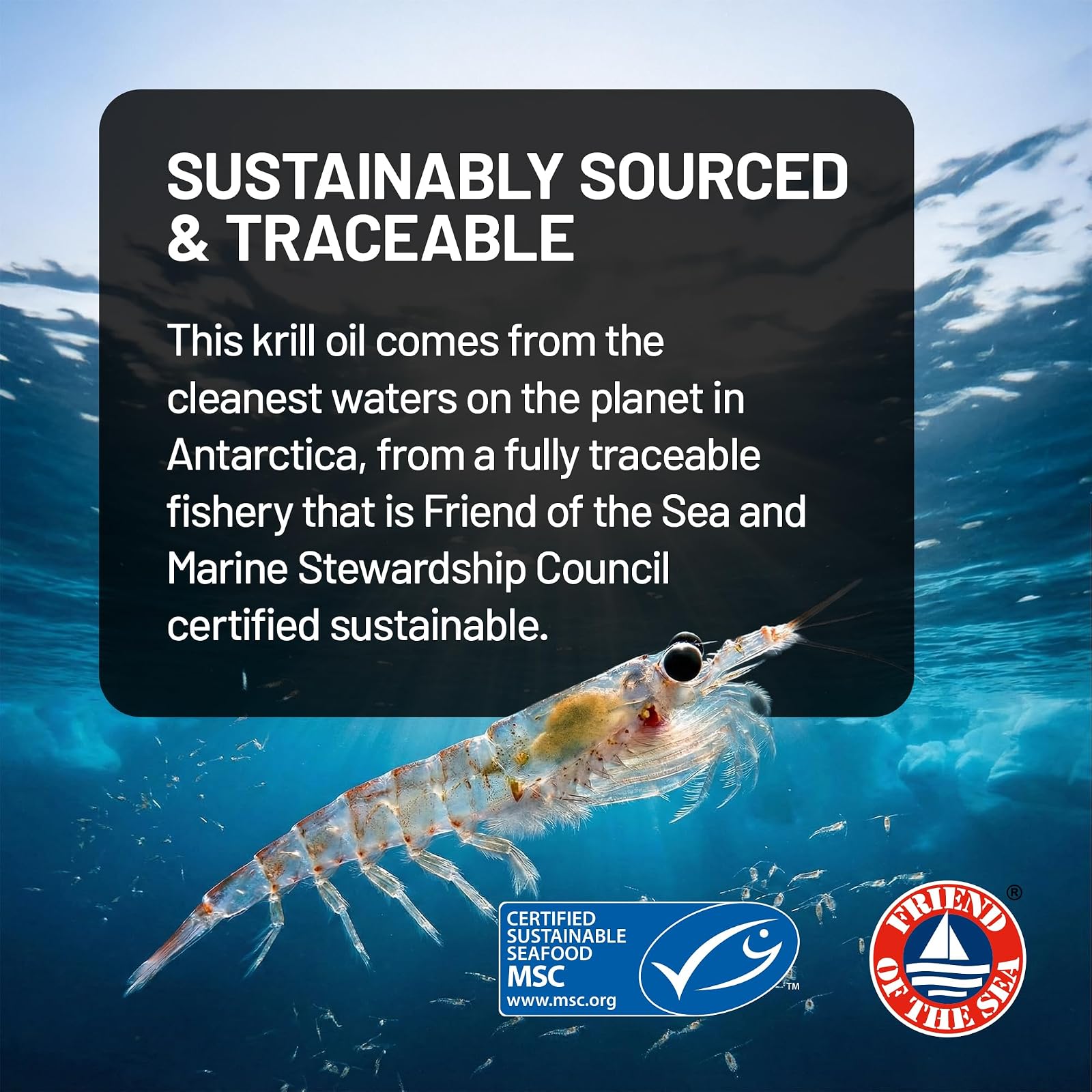 NatureWise krill oil for heart health