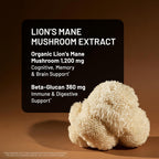 NatureWise mushroom extract for wellness