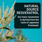NatureWise NAD+ supplement for wellness